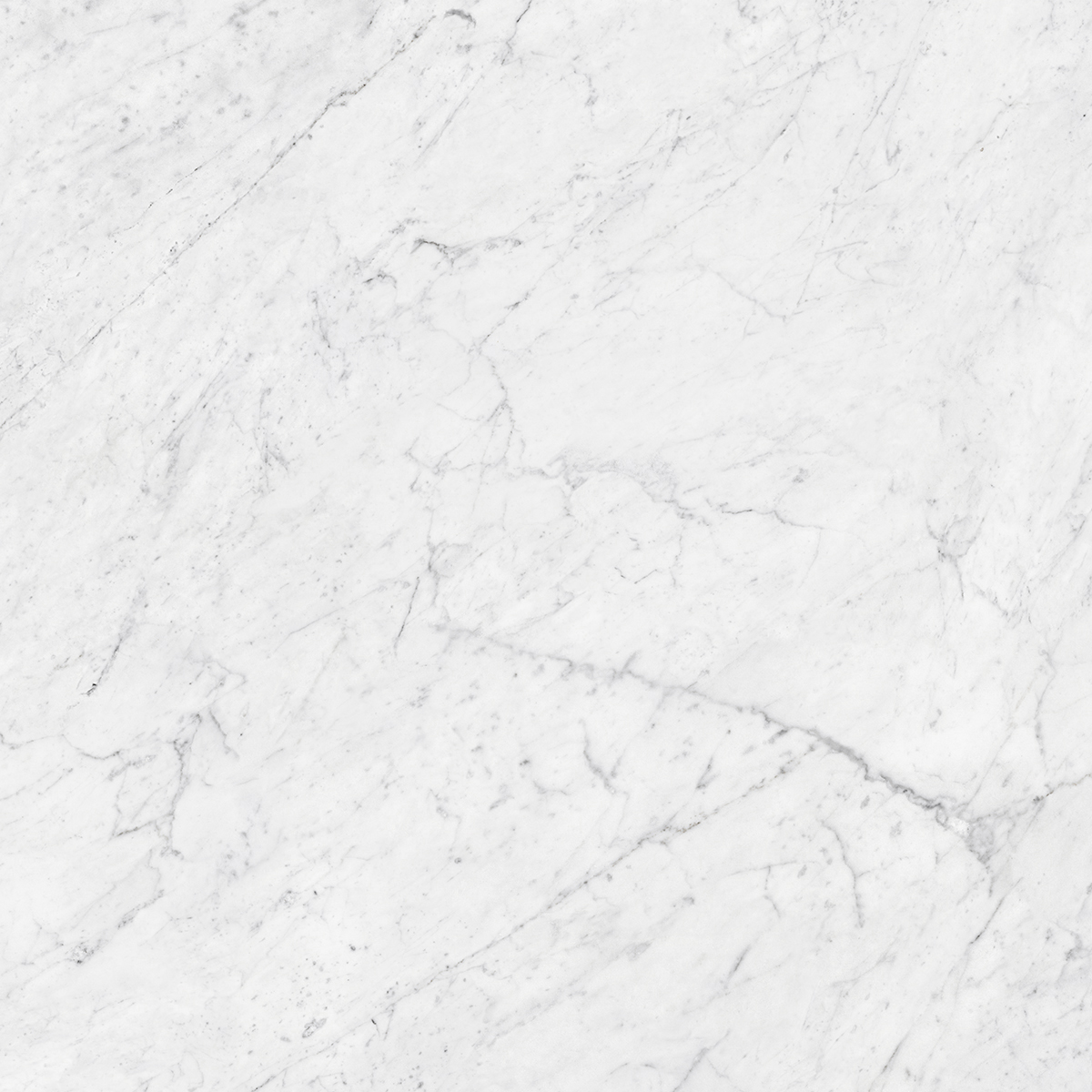 GIOLA SILVER - Tilers Viet Nam