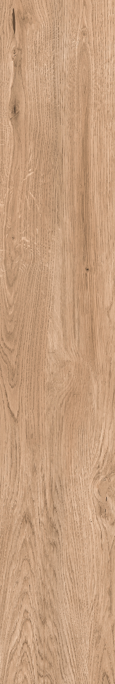 OAK WOOD NATURAL - Tilers Viet Nam