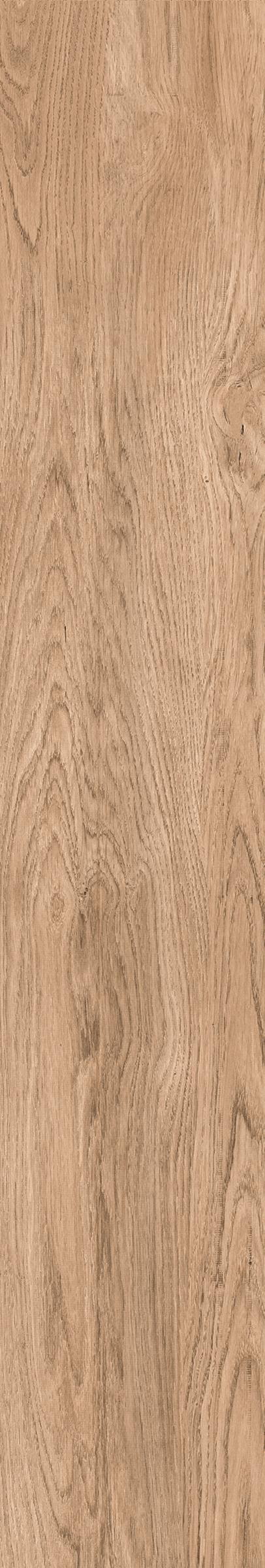 OAK WOOD NATURAL - Tilers Viet Nam