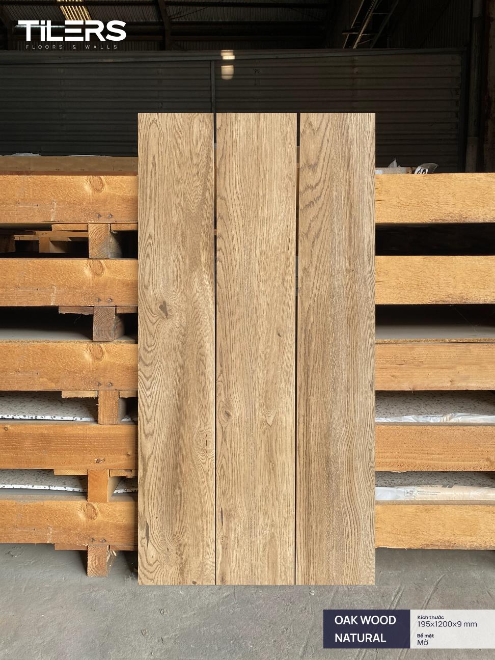 OAK WOOD NATURAL - Tilers Viet Nam